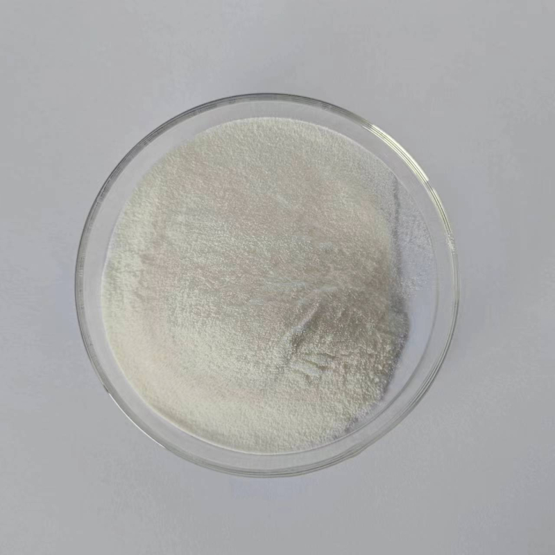Lactase Enzyme Powder Manufacture and Lactase Enzyme Powder Supplier in ...